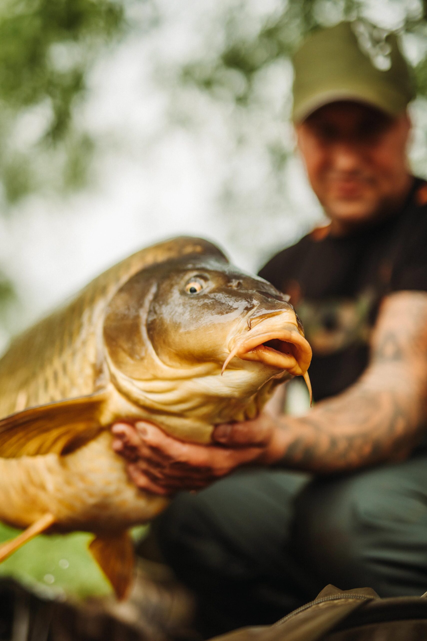 The Legend Lake - Fish